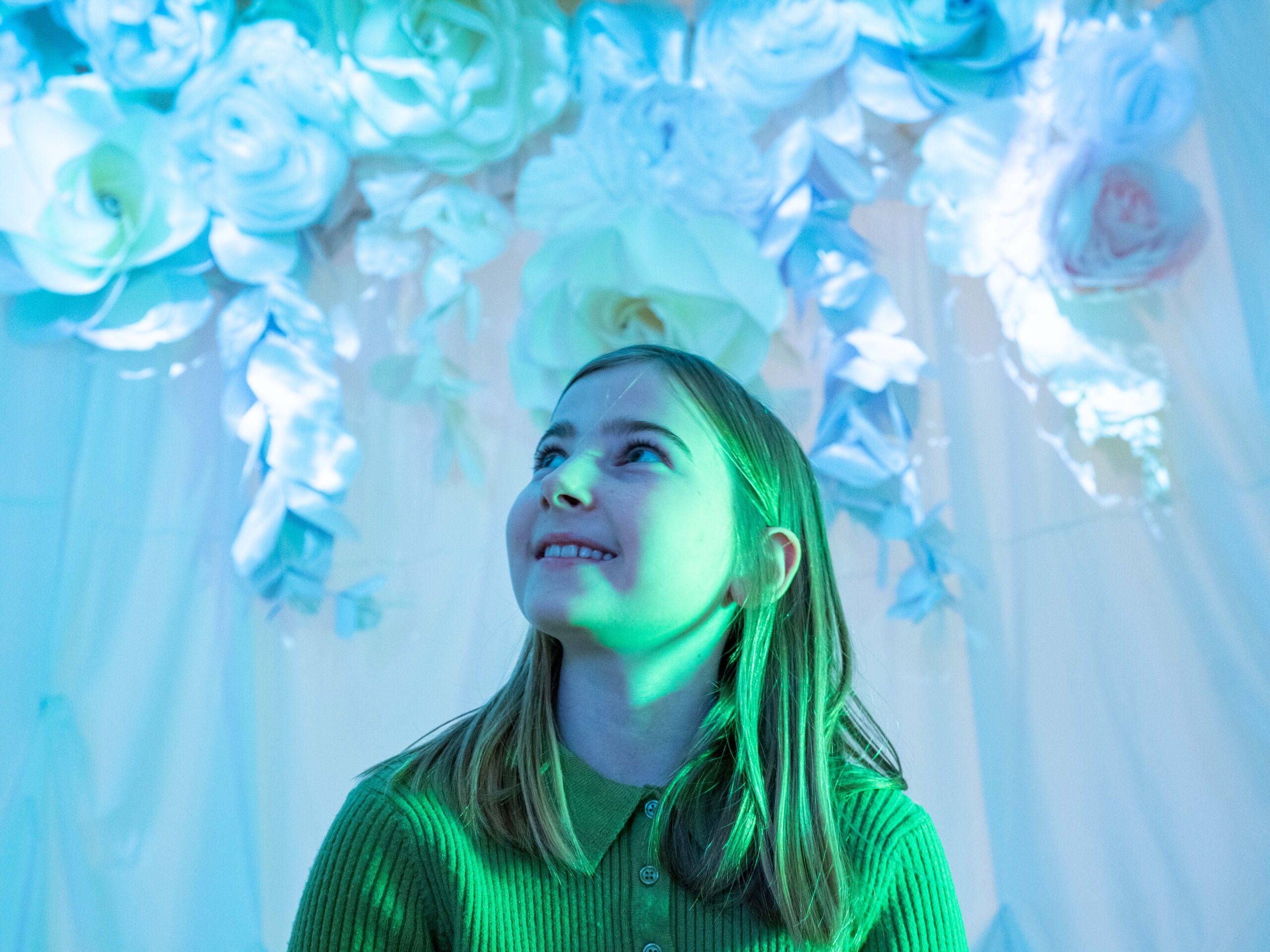 The Rose Cannon - the King's Enchanted Garden (PLEASE NOTE: Exhibition ...